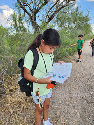 Nature-Smart Libraries: A Toolkit | Children & Nature Network