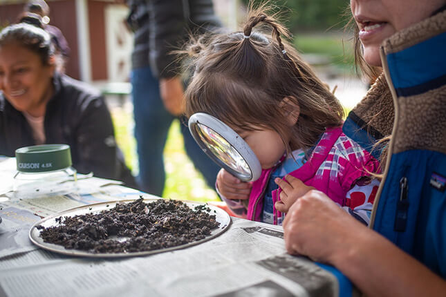 Nature-Smart Libraries: A Toolkit | Children & Nature Network