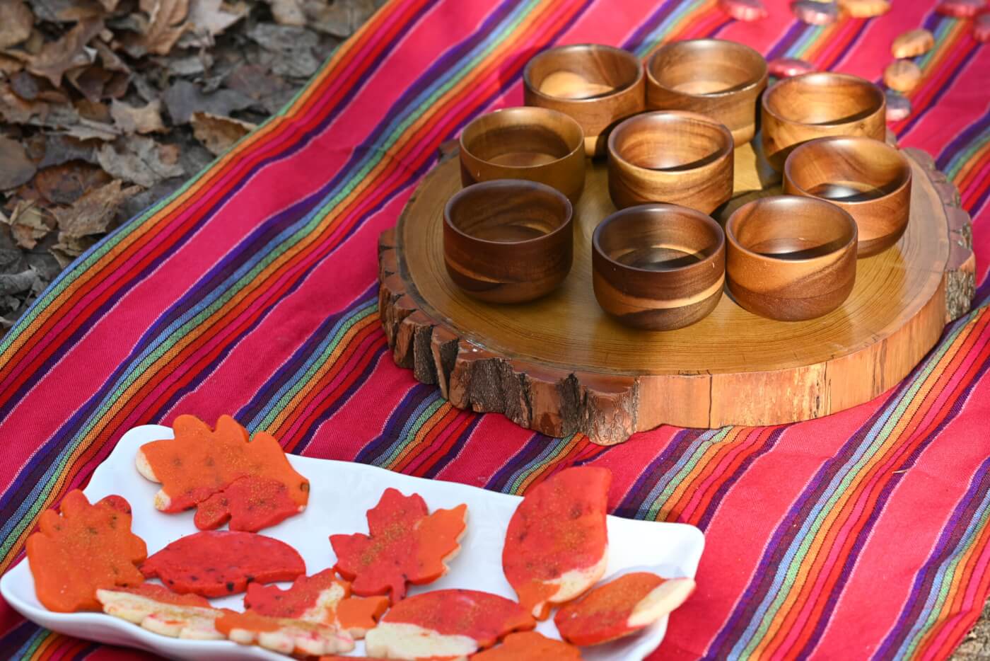 The Louv Effect: Forest bathing for educators | C&NN
