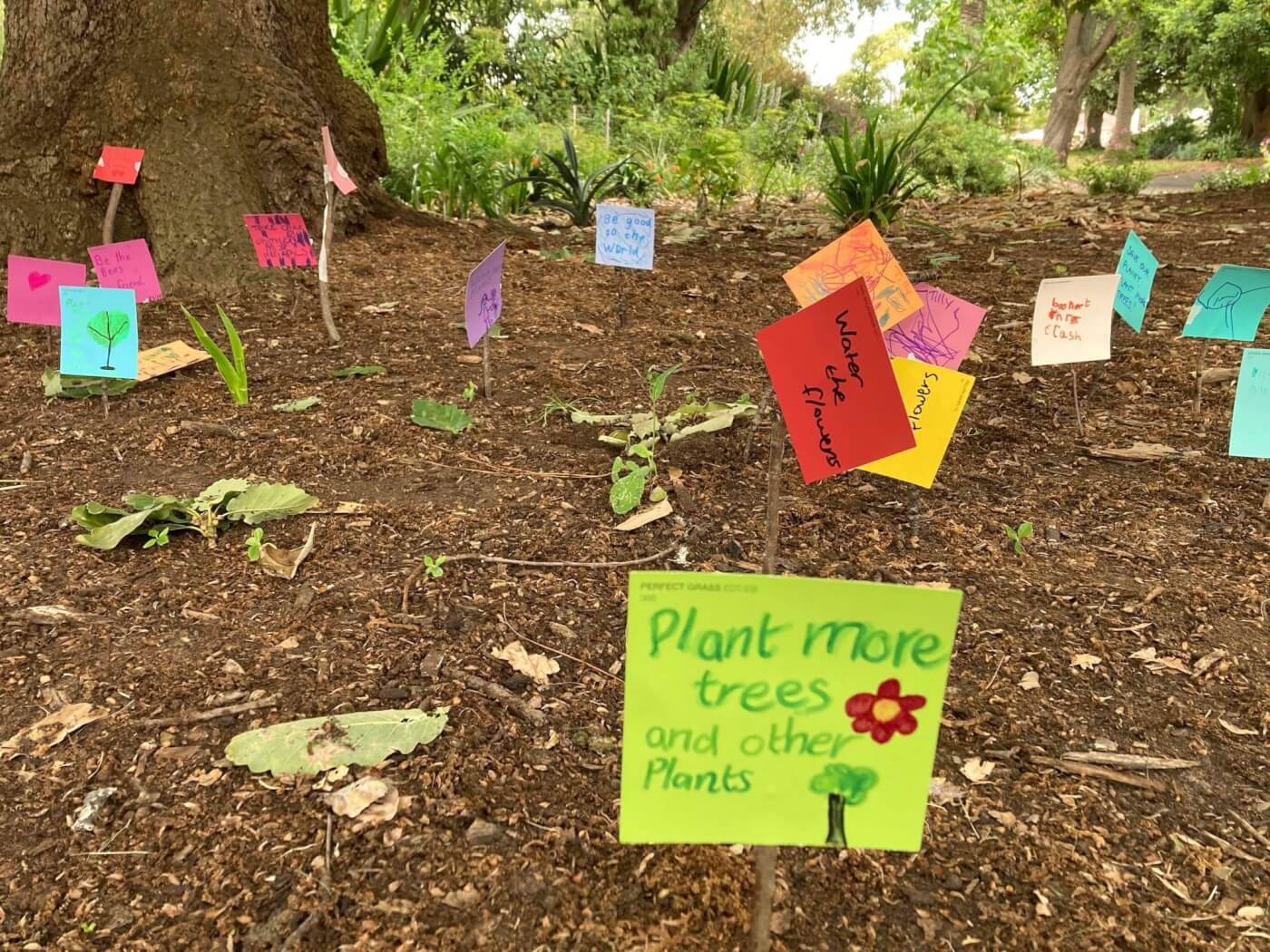 Helping our youth make Earth Day every day | C&NN